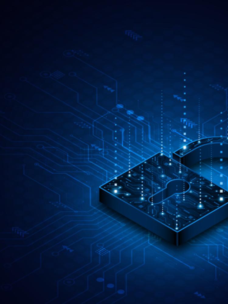 Principles for secure privileged access workstations (PAWs) | National ...